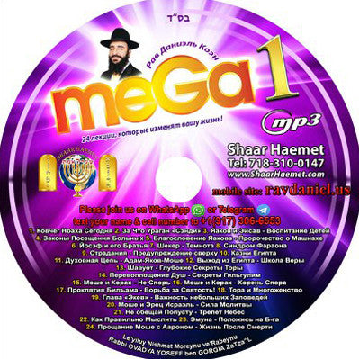 Mega Disk 1 – SHAARHAEMET
